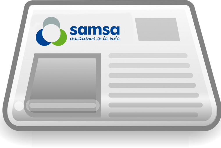 Historia – samsa